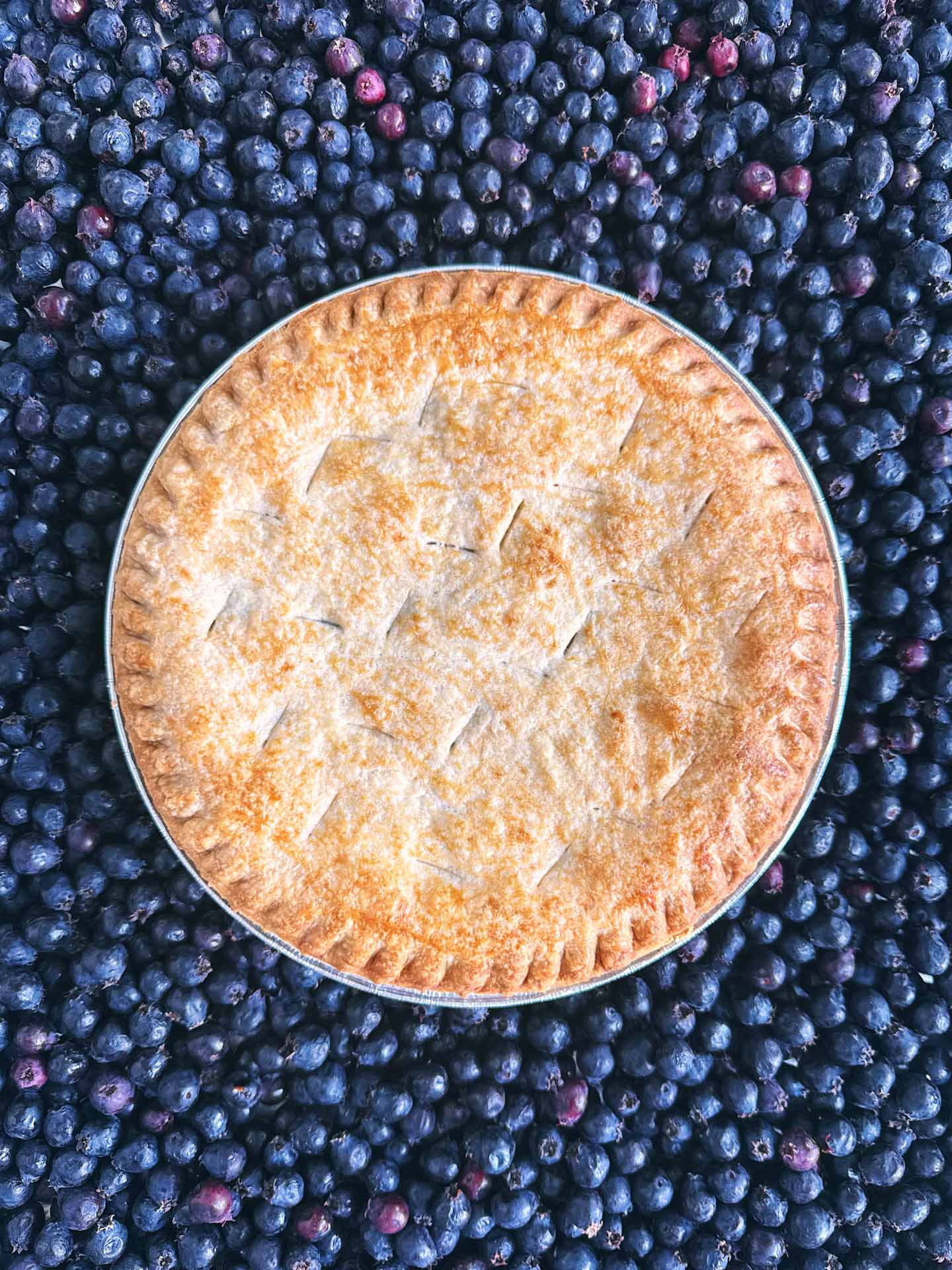 Saskatoon Pie SATURDAY PREORDER (Local Delivery Only) – The Cookie Lady